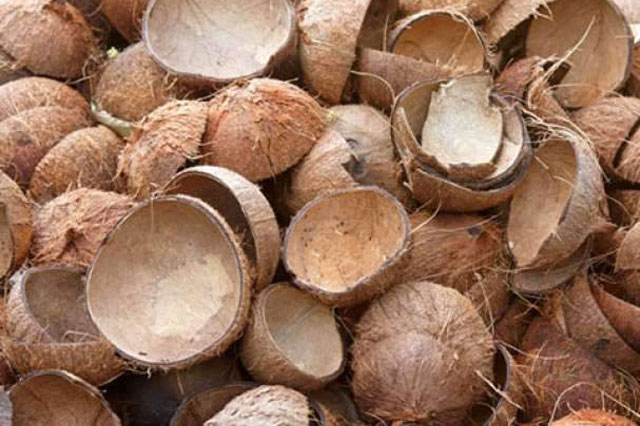 Coconut Shell in Tiptur | Coconut Shell Dealers in Tiptur - Kalpataru ...